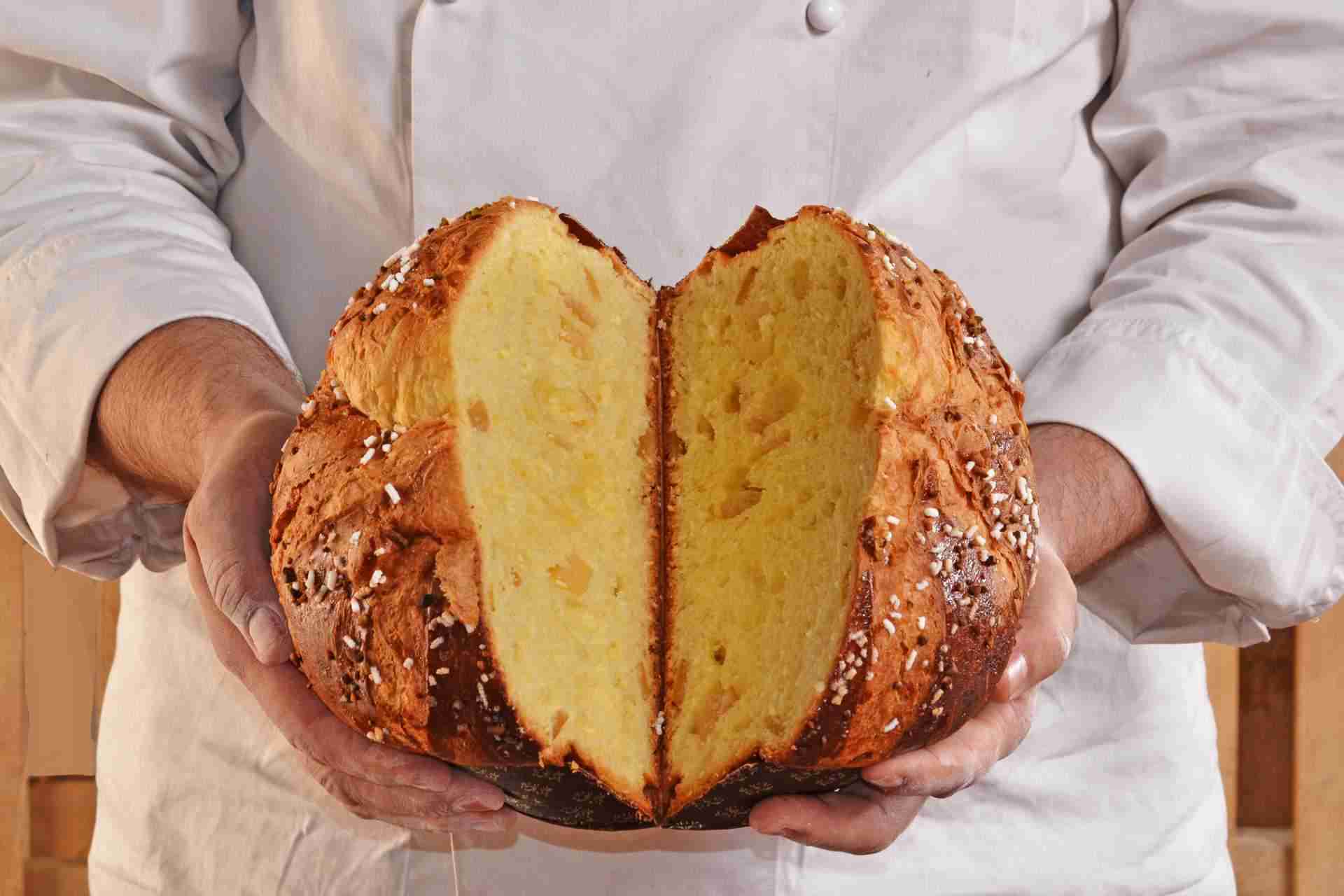 Traditional Italian Christmas Cakes: History And Differences Between ...